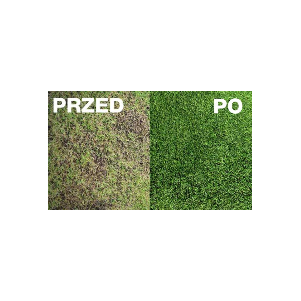 Trawa Barenbrug SOS Quick Repair Regeneracyjna 1kg